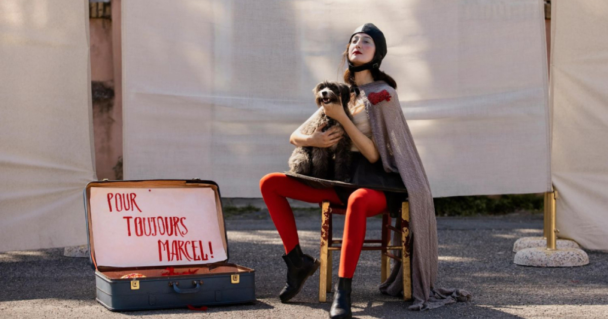 Marcel! — Filmes — 8½ Festa do Cinema Italiano Brasil